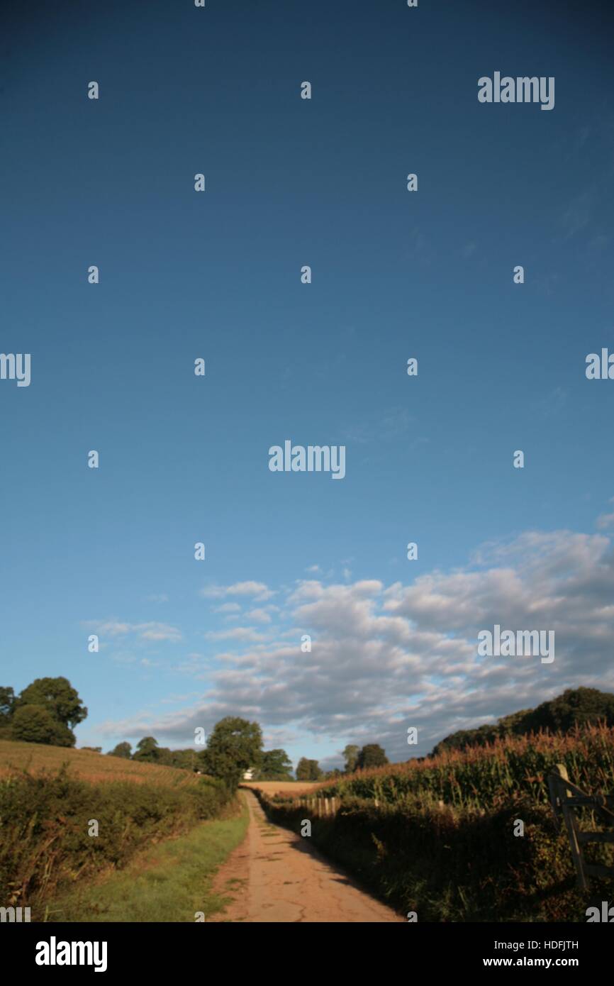 English country path Stock Photo - Alamy