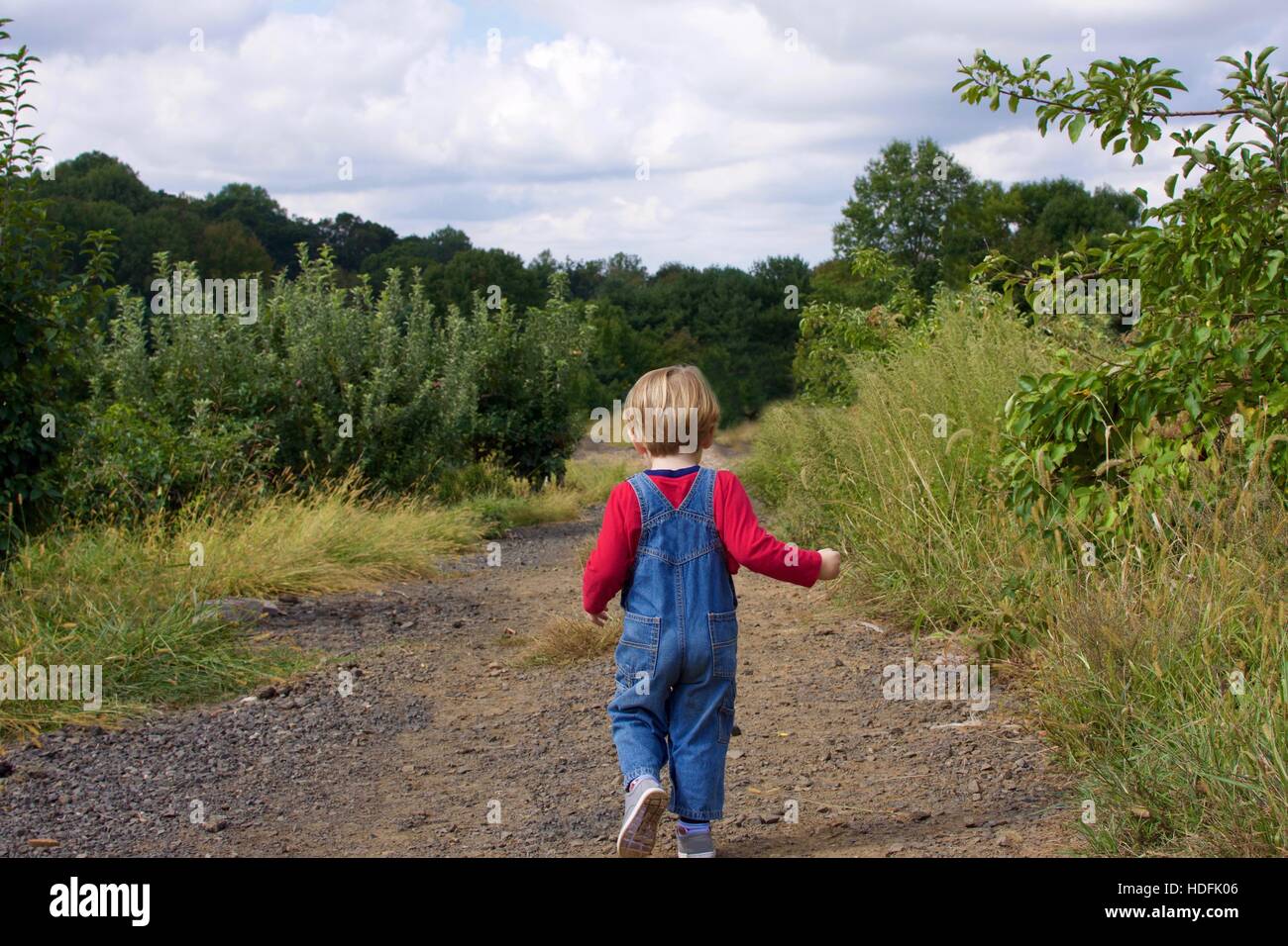 adorable toddler walking through farm wearing overalls Stock Photo - Alamy