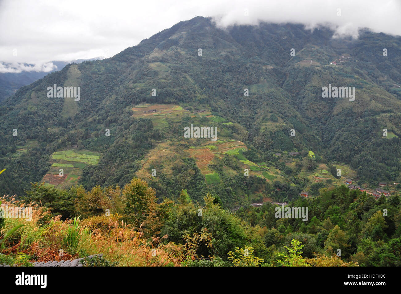 Mountainside farming is popular throughout the Longji area in Guilin ...