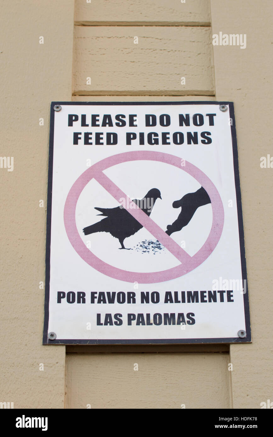 please do not feed pigeons sign Stock Photo - Alamy