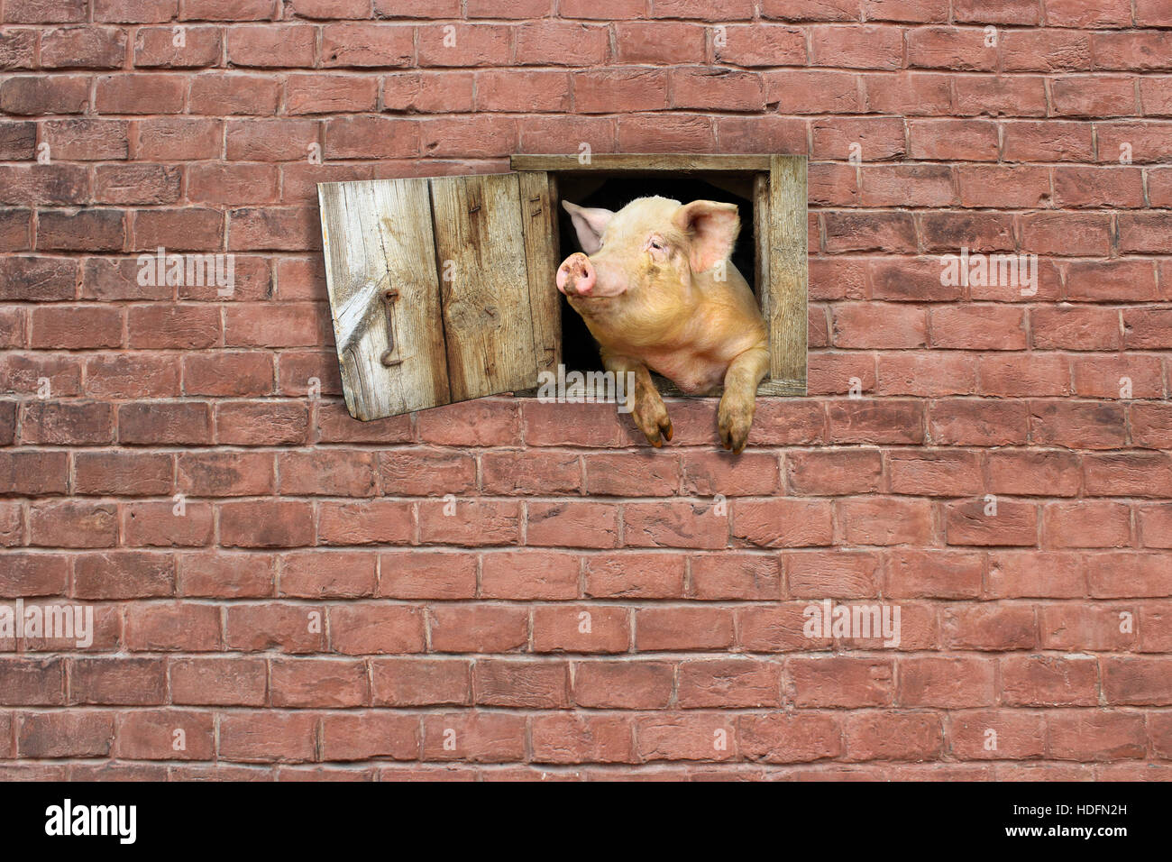 Red brick shed on hi-res stock photography and images - Alamy