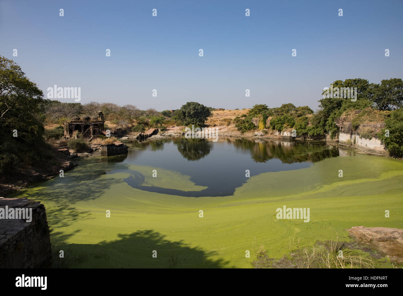 Old fort pond at the Ranthambore National Park in Rajasthan, India ...