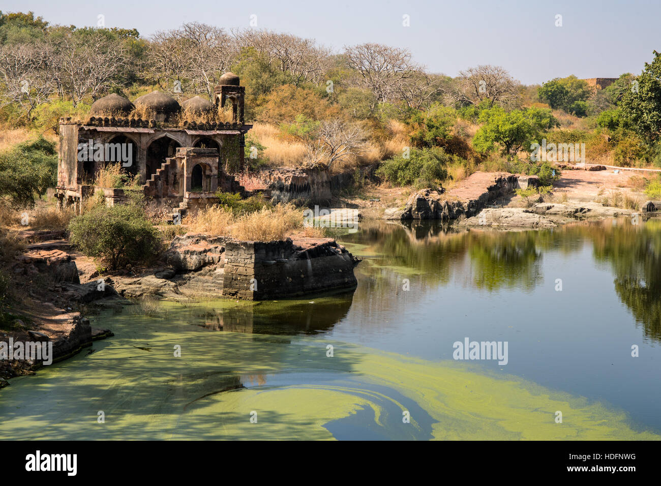 Old fort pond at the Ranthambore National Park in Rajasthan, India ...
