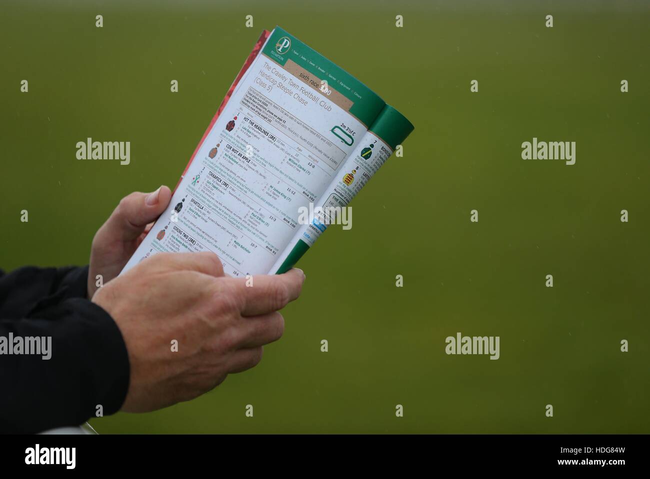 A race goer looks at a race card before placing a bet on a horse race ...