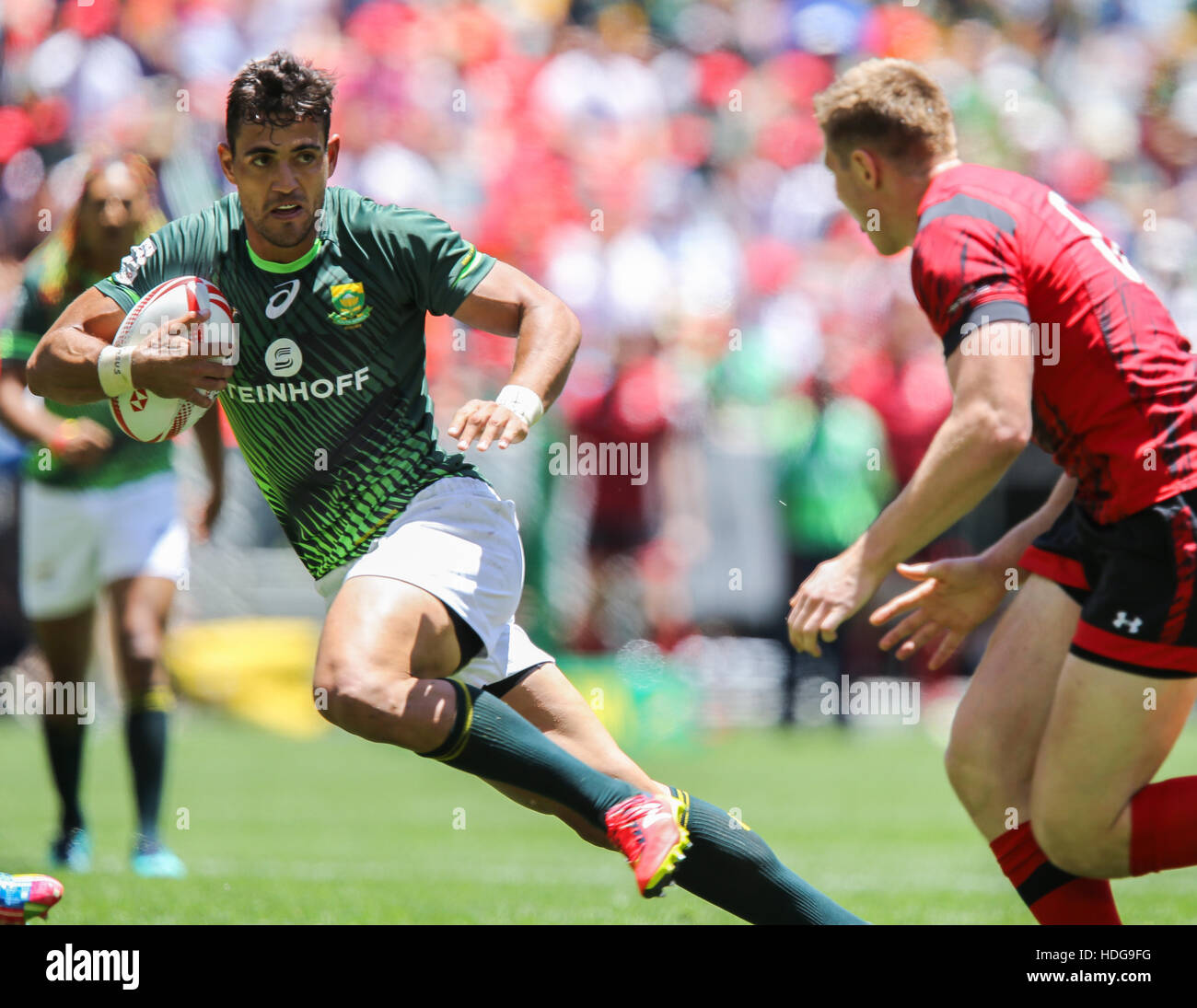 Springbok rugby players hi-res stock photography and images - Alamy