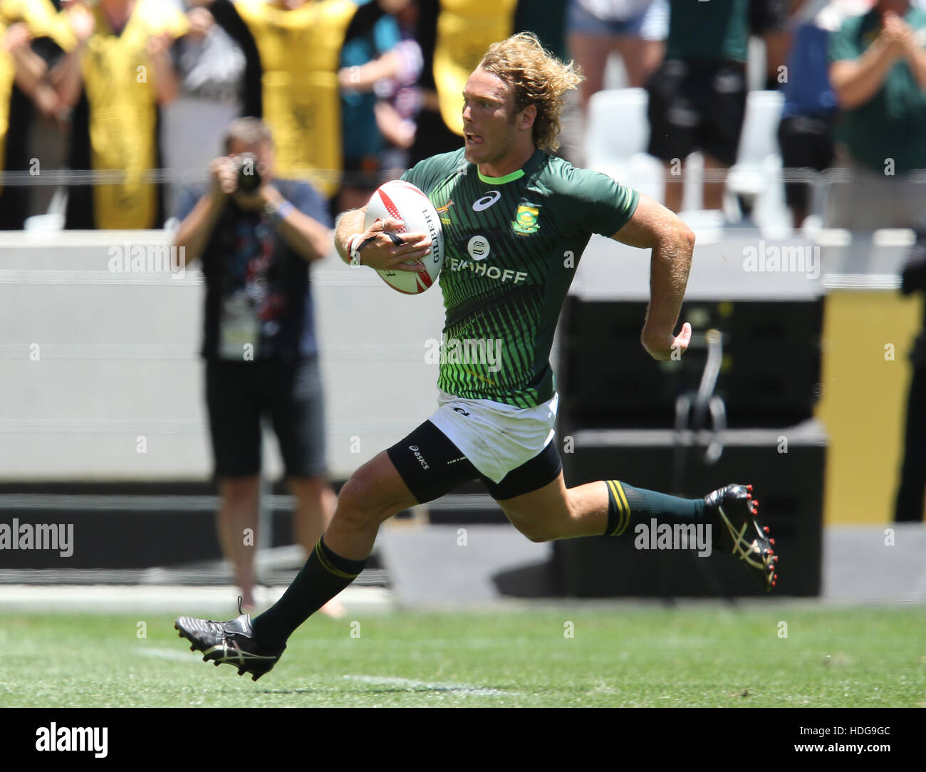 Springbok rugby players hi-res stock photography and images - Alamy