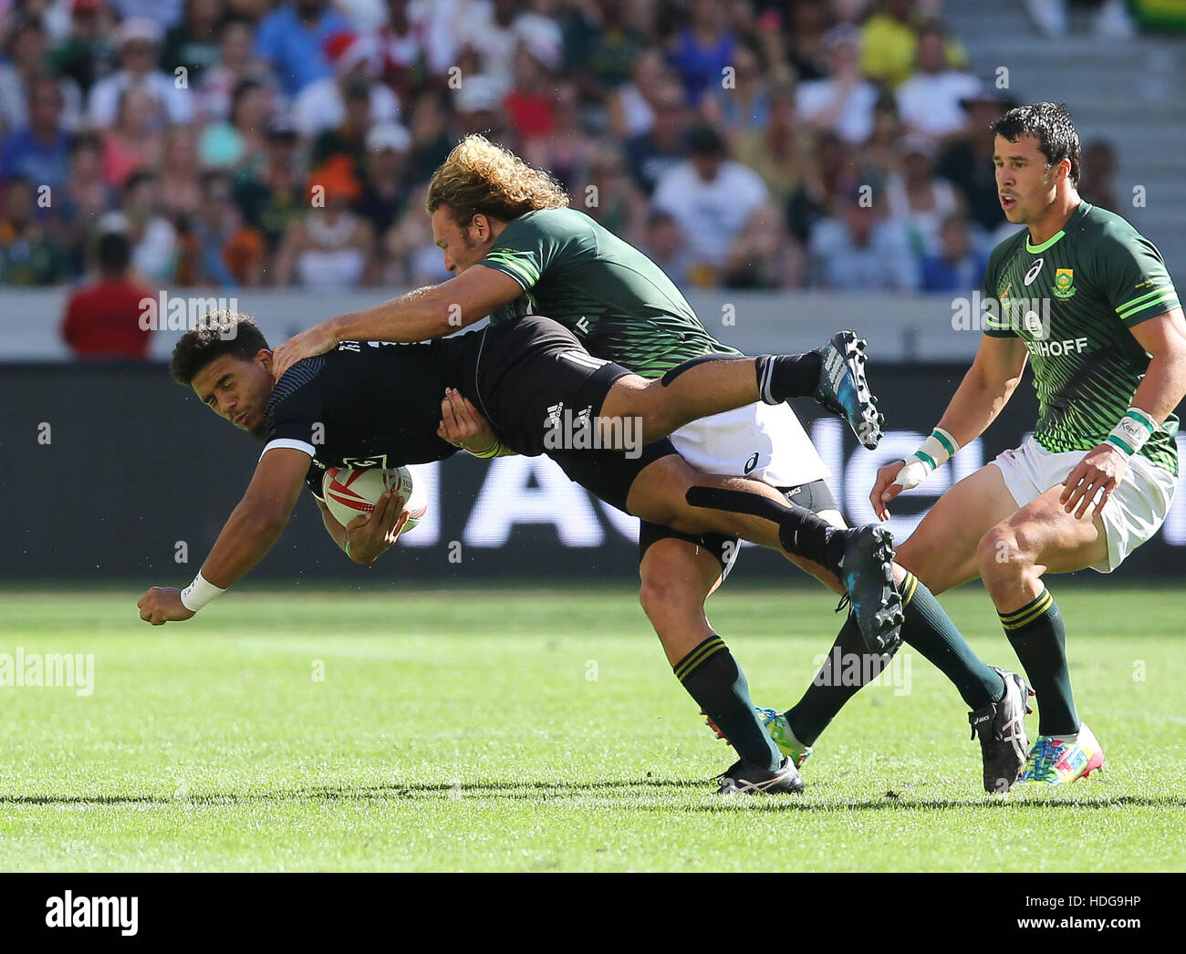 Springbok rugby players hi-res stock photography and images - Alamy