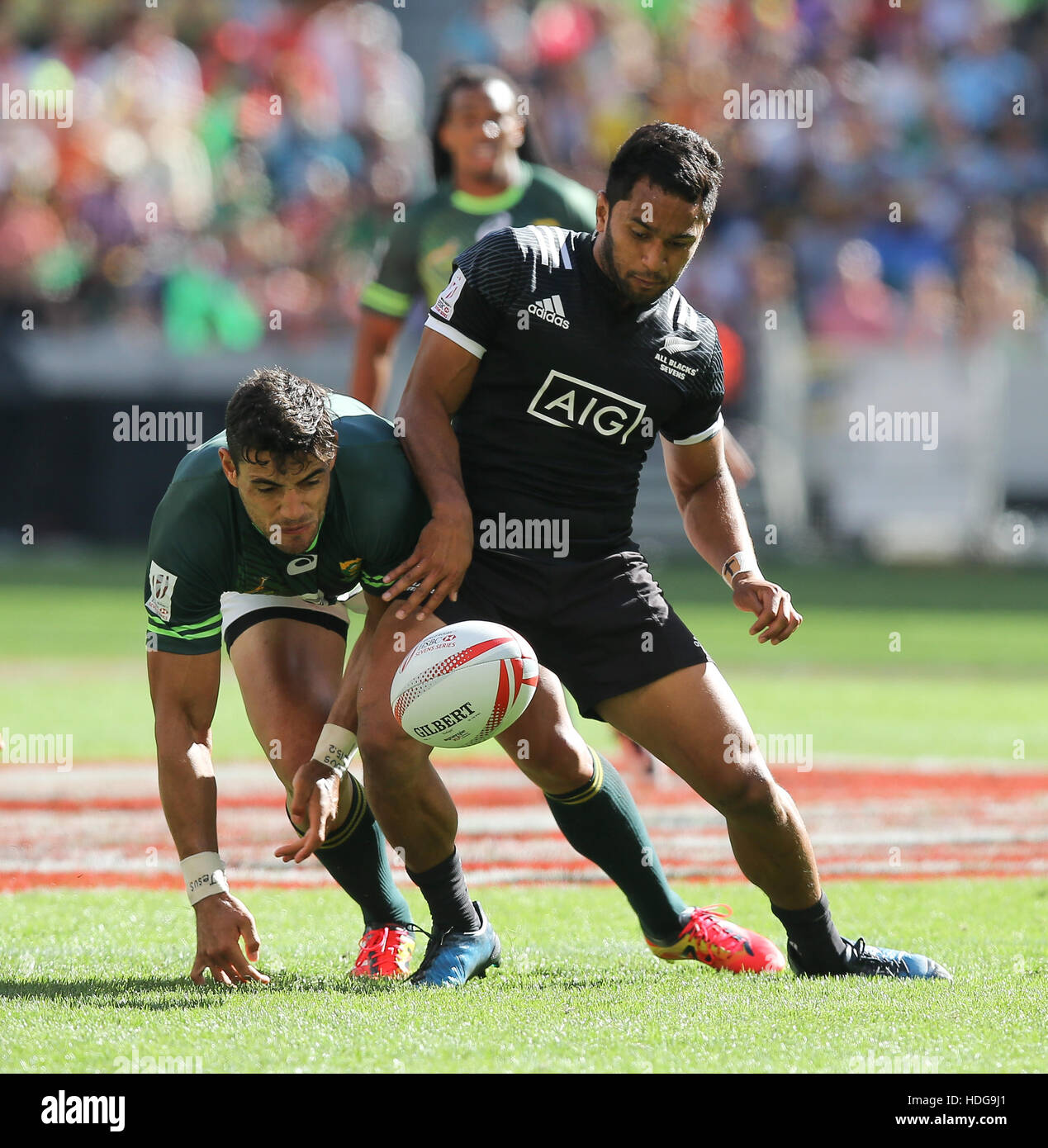 Springbok rugby players hi-res stock photography and images - Alamy