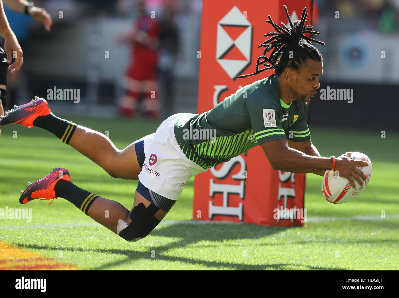 Springbok rugby players hi-res stock photography and images - Alamy