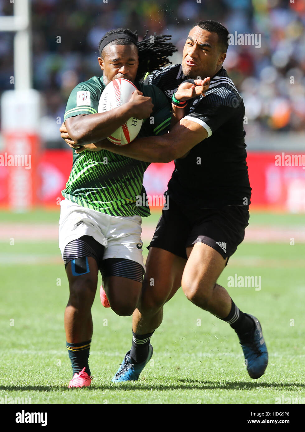 Springbok rugby players hi-res stock photography and images - Alamy