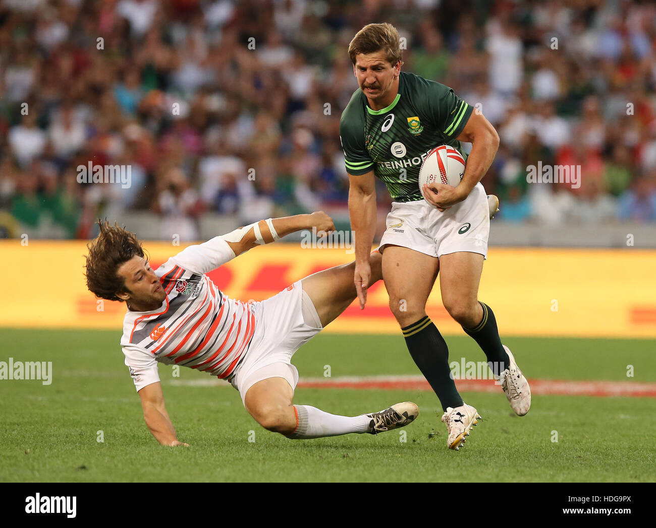Springbok rugby players hi-res stock photography and images - Alamy
