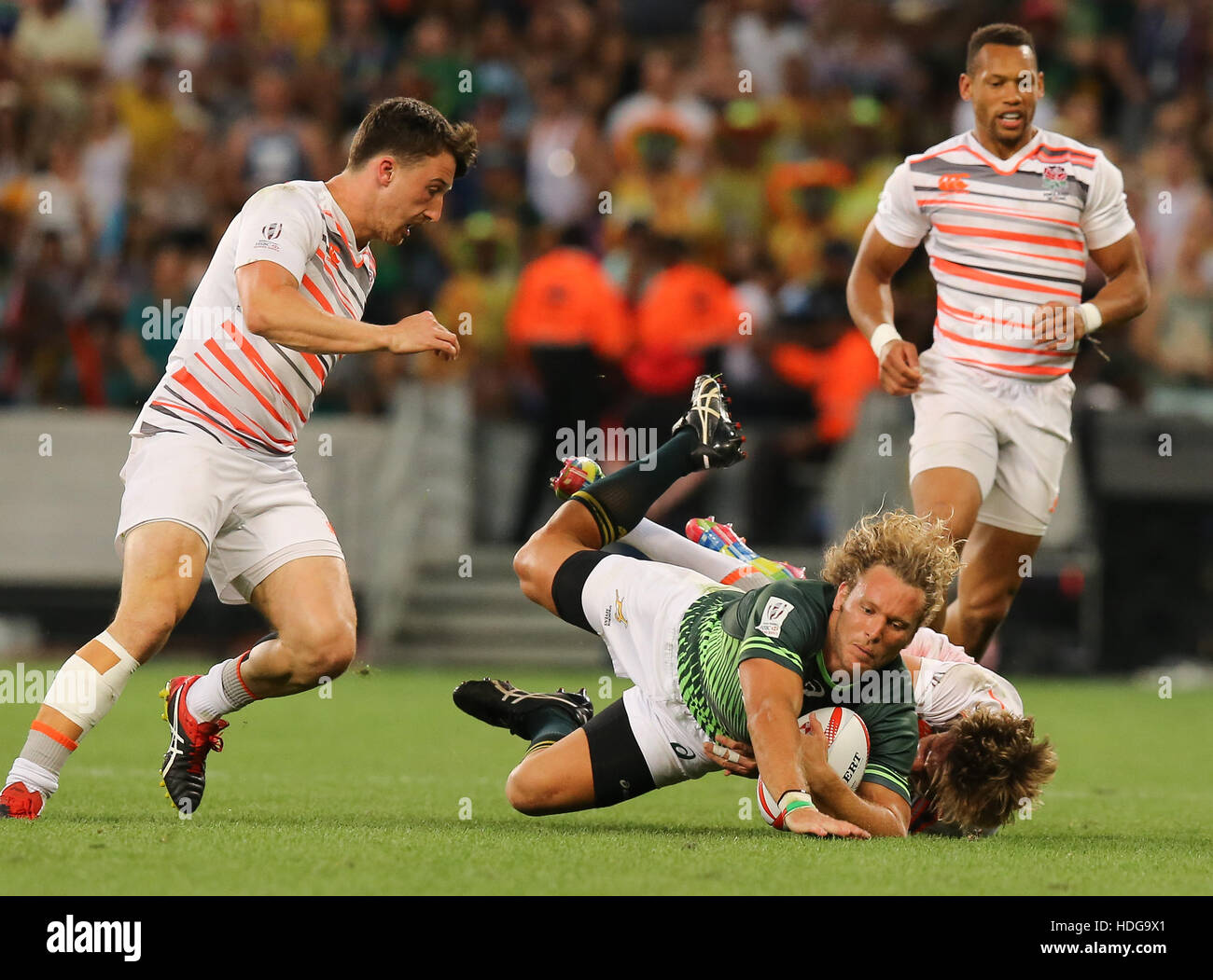 Springbok rugby players hi-res stock photography and images - Alamy