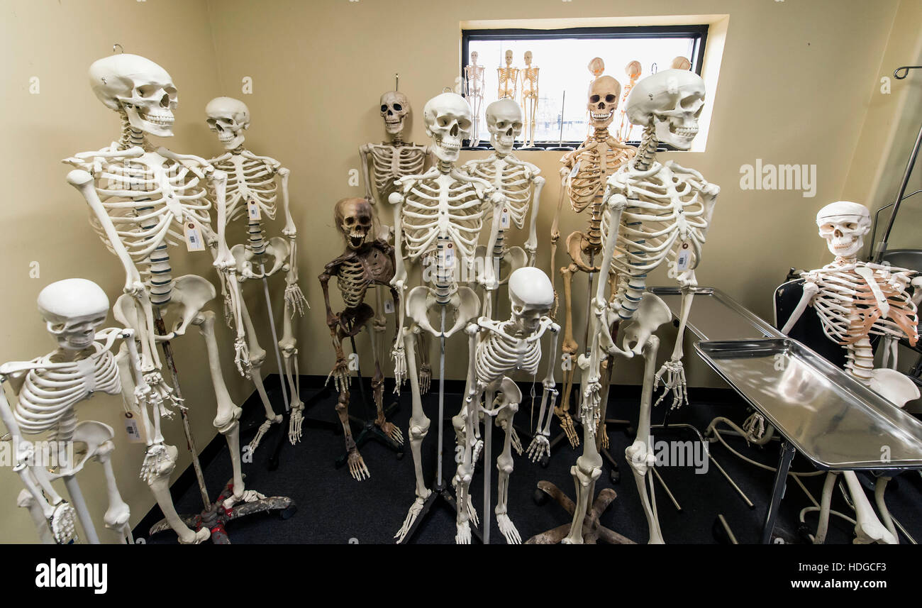 Medical props hi-res stock photography and images - Alamy