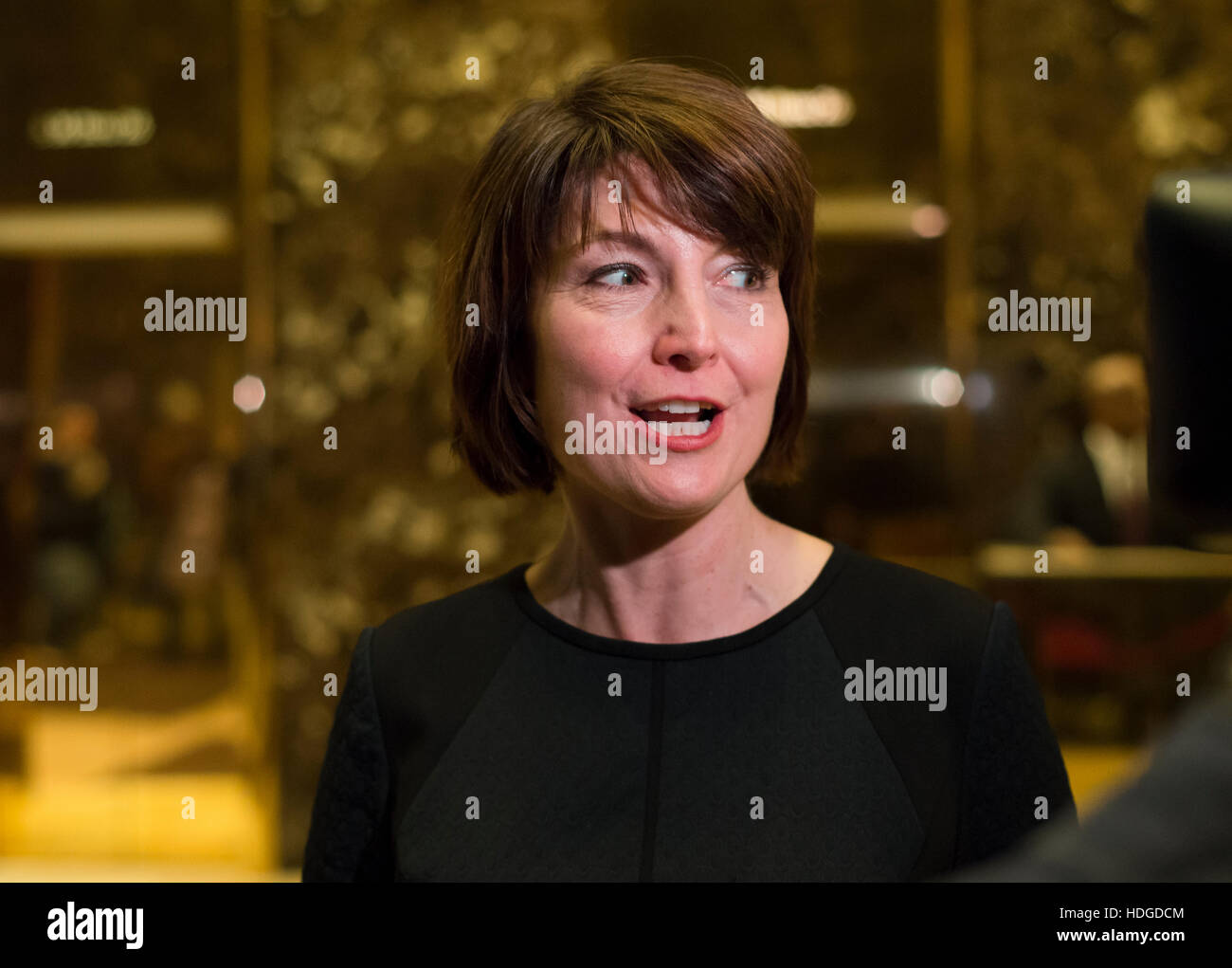 New York, USA. 12th Dec, 2016. United States Representative Cathy ...