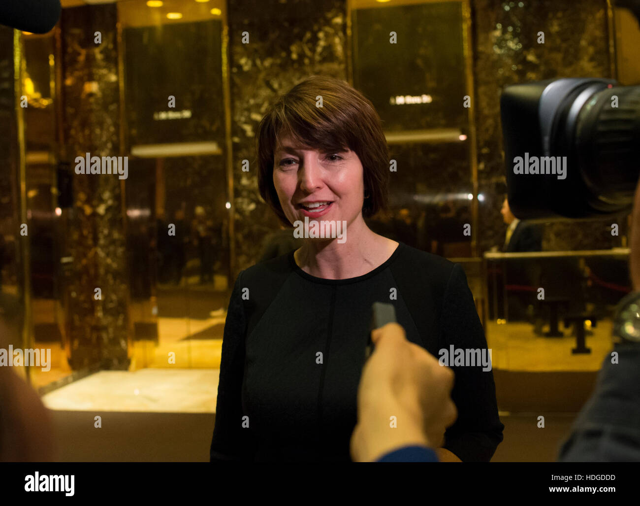 New York, USA. 12th Dec, 2016. United States Representative Cathy ...