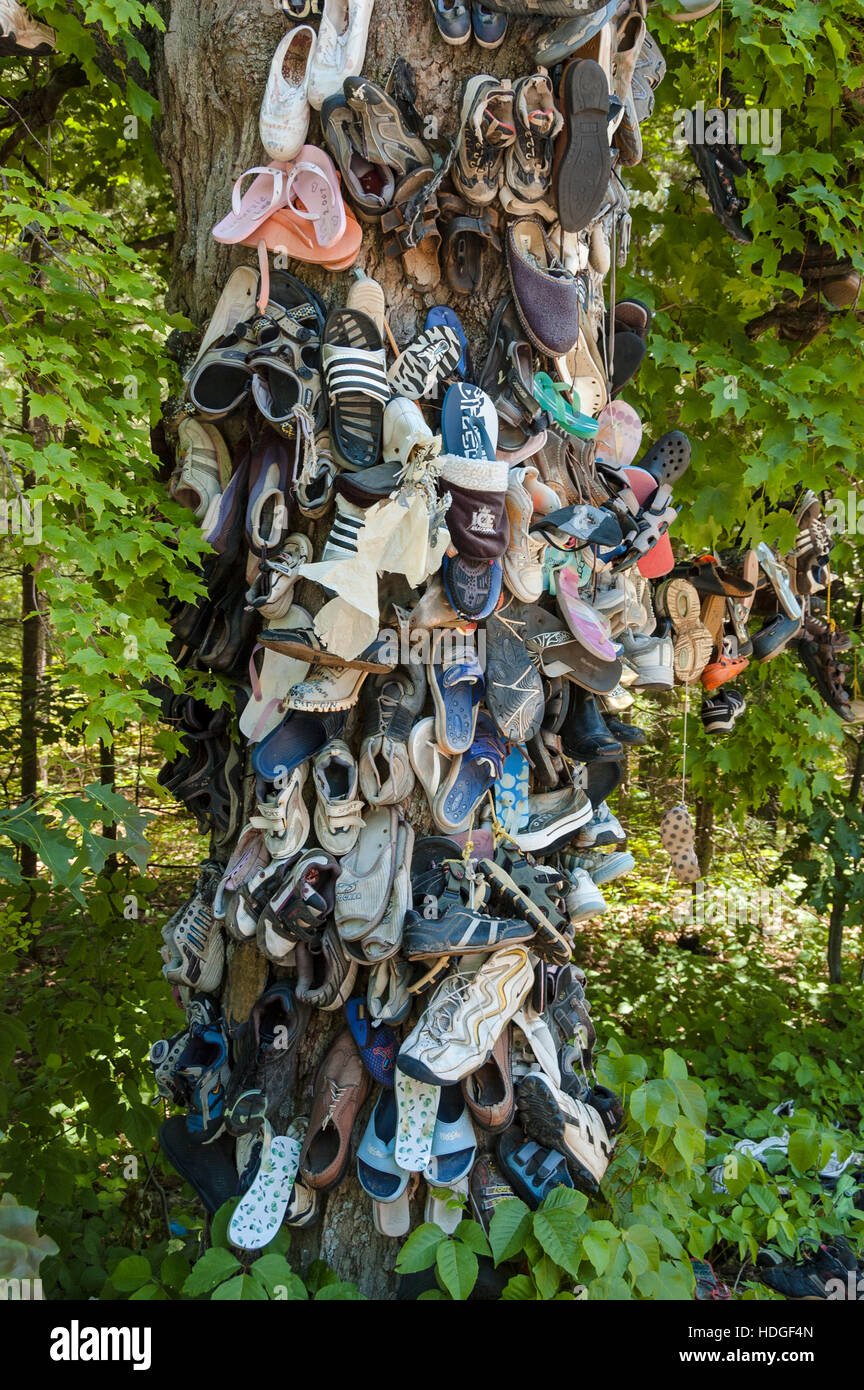 A tree trunk covered by several different types and sizes of shoes near ...