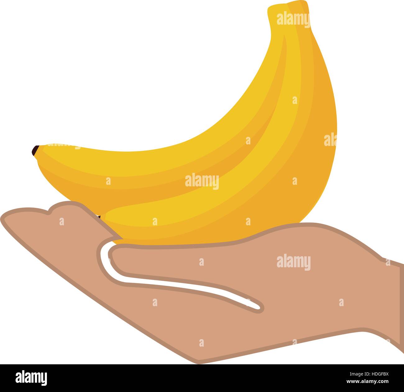 hand human with fresh fruit isolated icon vector illustration design ...