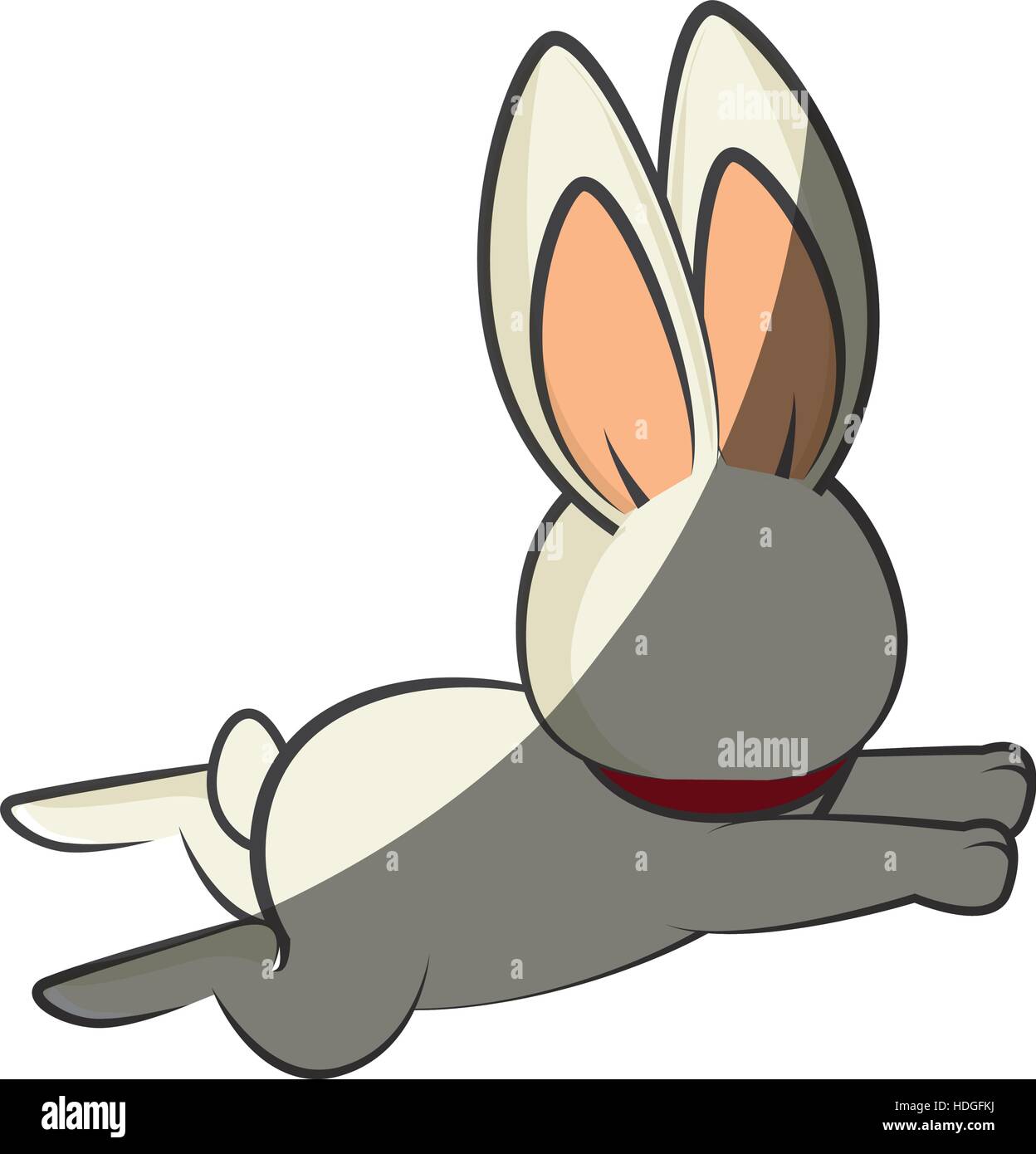 Rabbit Characters Design