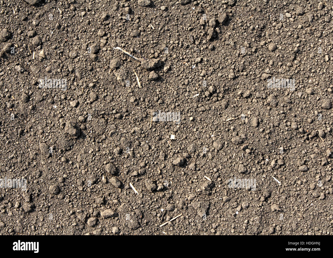 Clay soil clod texture hi-res stock photography and images - Alamy