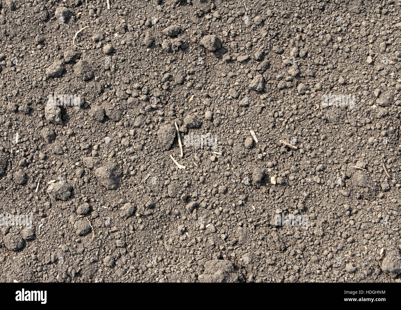 Soil texture background. Close -Up Stock Photo - Alamy
