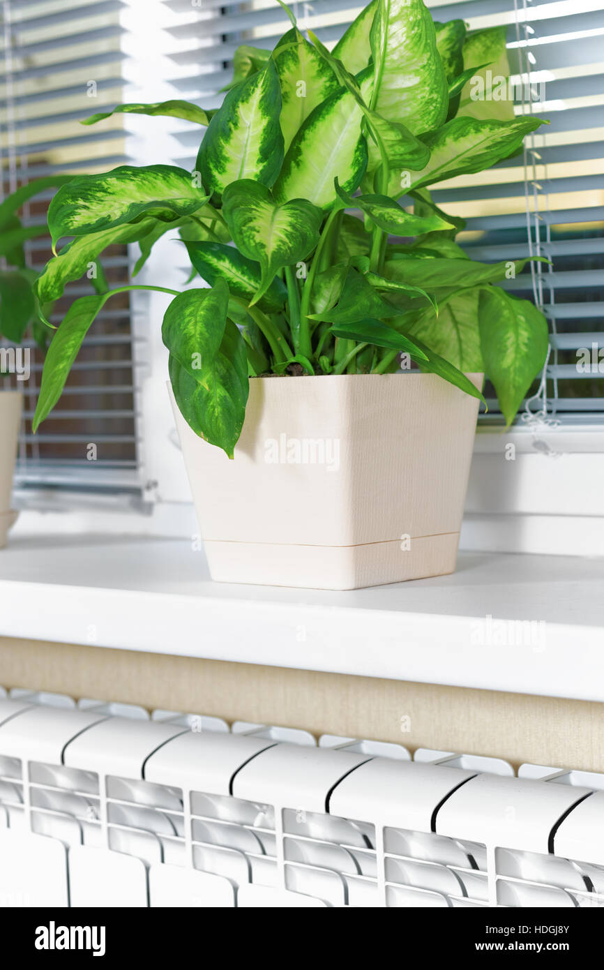 Bimetallic radiator hi-res stock photography and images - Alamy