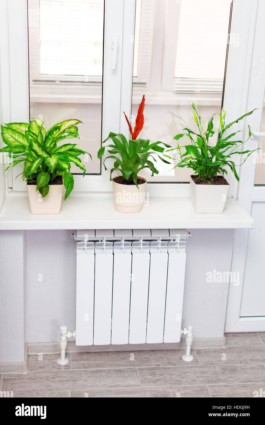 Bimetallic radiator hi-res stock photography and images - Alamy