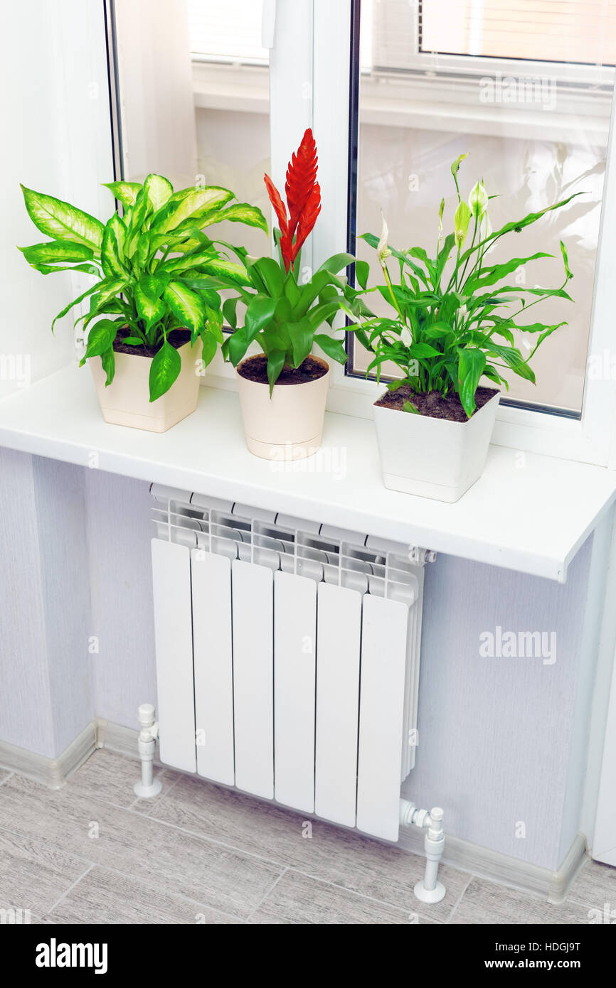 Bimetallic radiator hi-res stock photography and images - Alamy