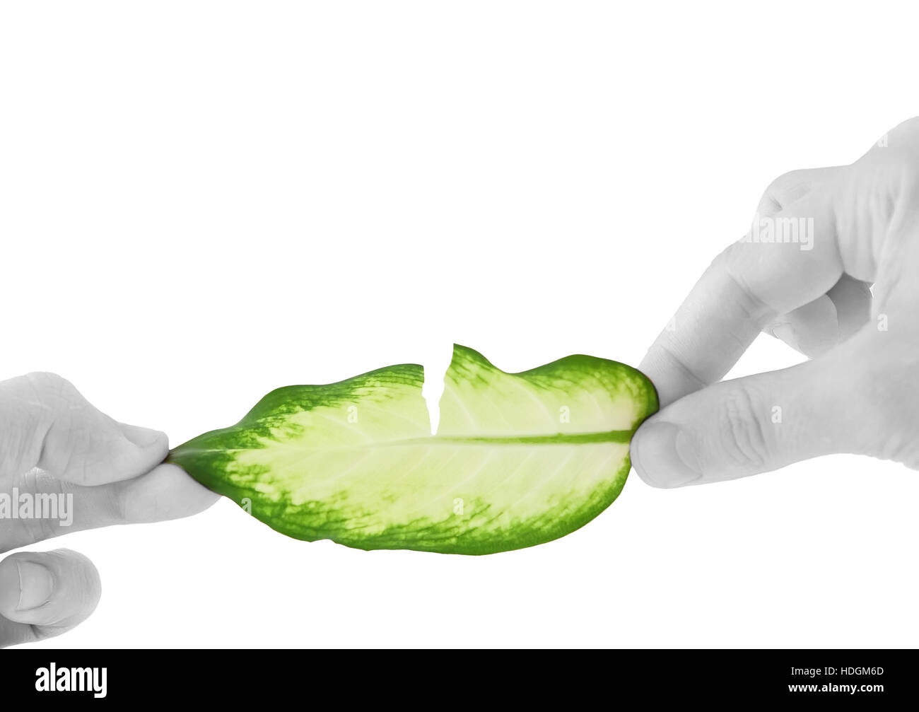 Asunder Stock Photos & Asunder Stock Images - Alamy