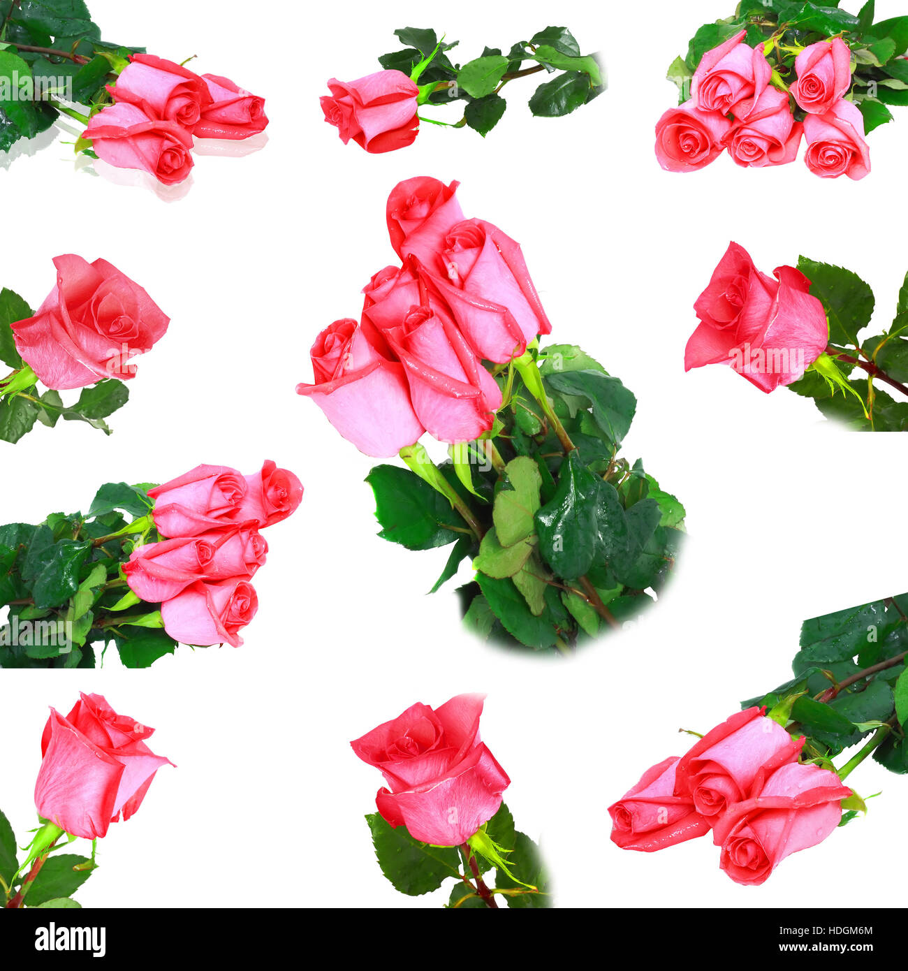Beautiful roses collage hi-res stock photography and images - Alamy