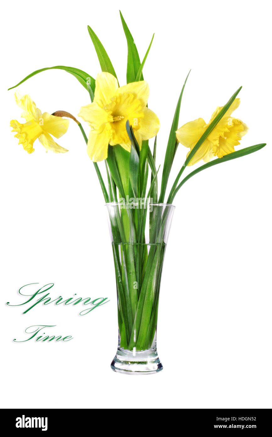 Beautiful spring flowers in vase hi-res stock photography and images ...