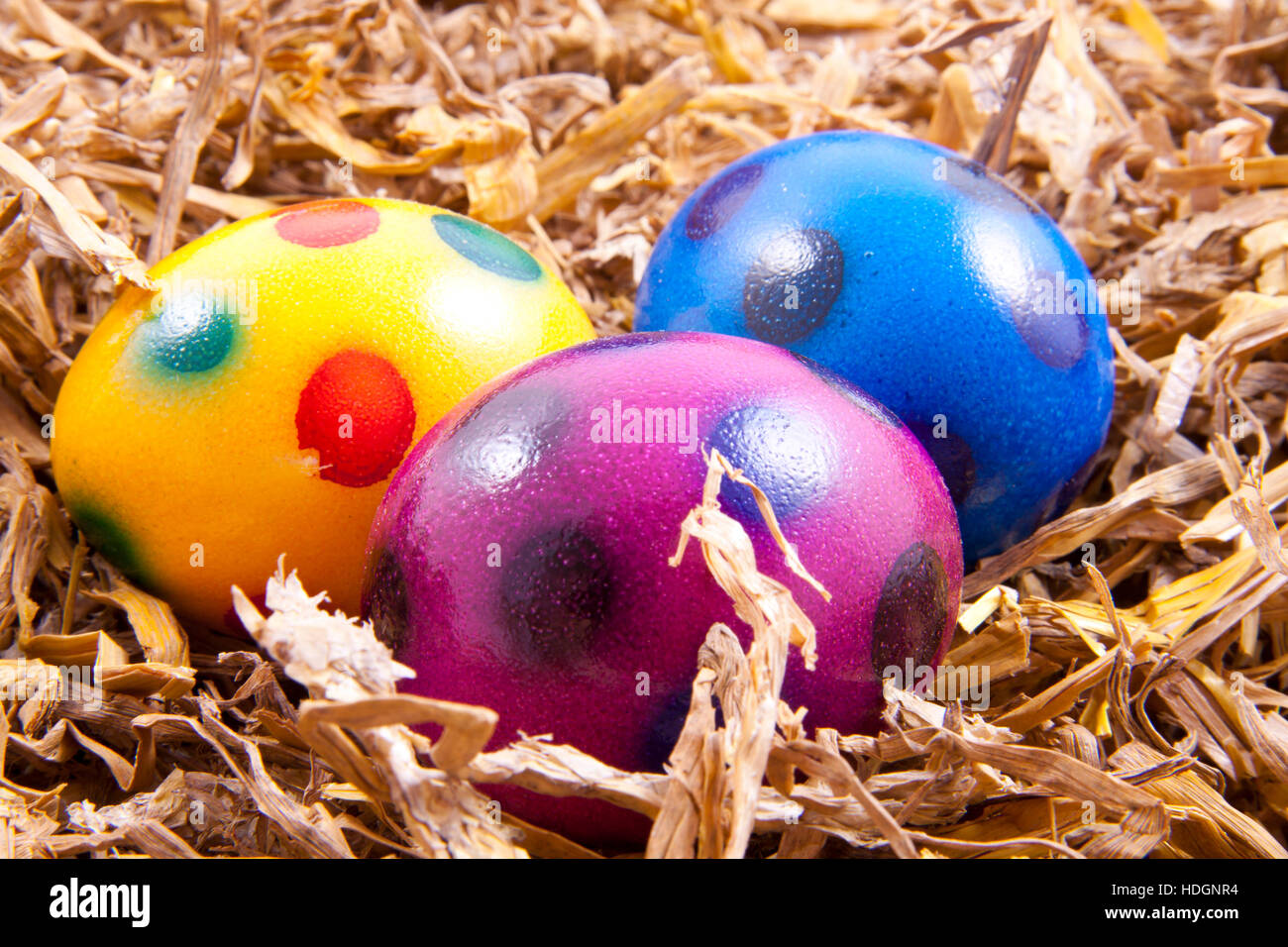 Three colorful spotted eggs in a nest for background use Stock Photo ...