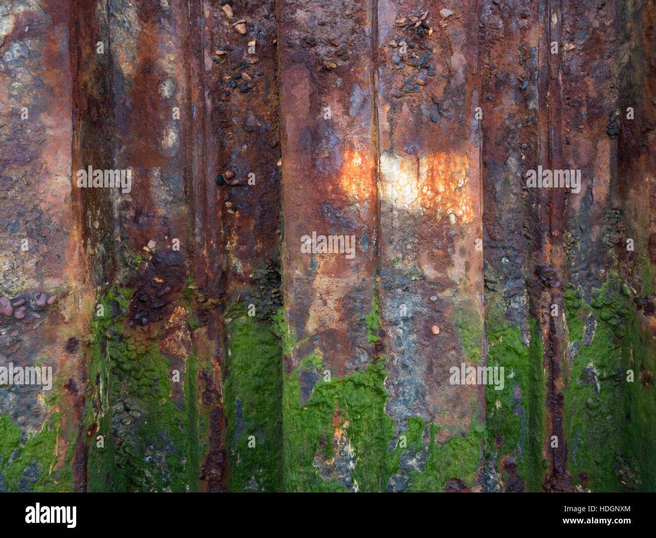 Heavily rusted and corroded steel interlocking sea defenses with algae ...