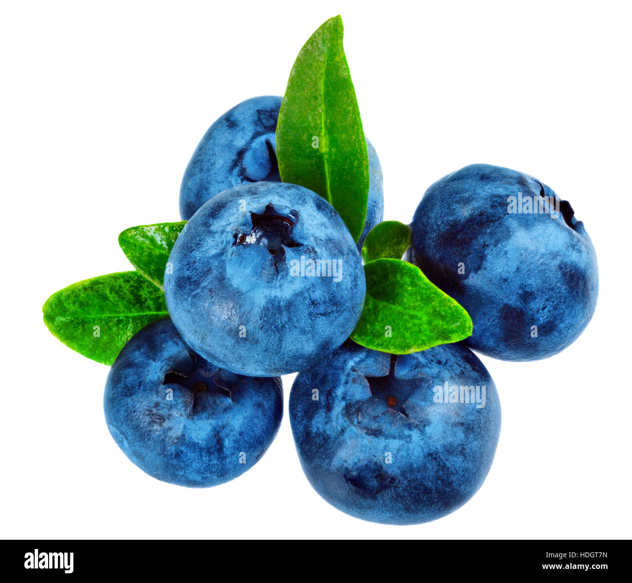 Five fresh blueberrys isolated on white background Stock Photo - Alamy
