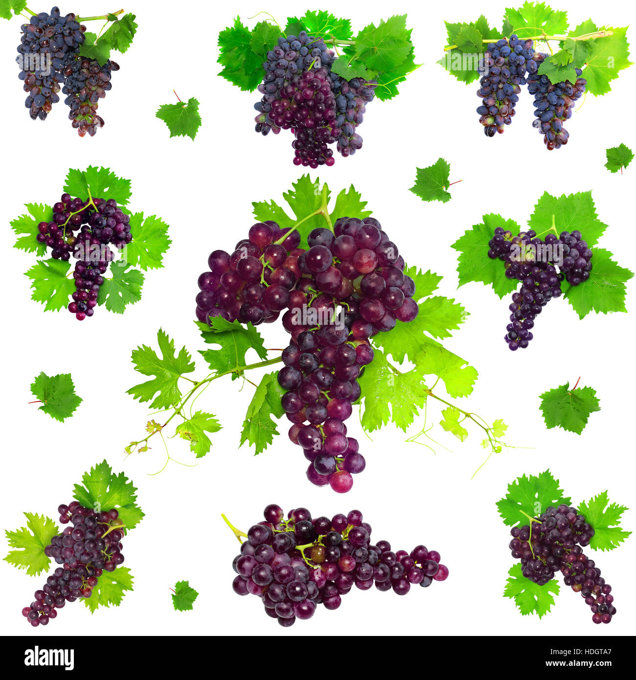 Collage(set) of various grapes with foliage. Isolated over white Stock ...