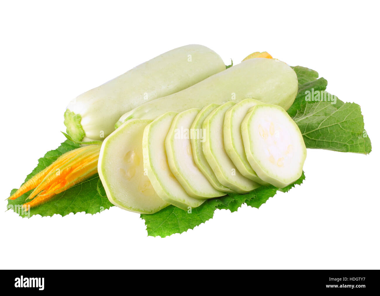 White vegetable marrow with green foliage and yellow blossom on white ...