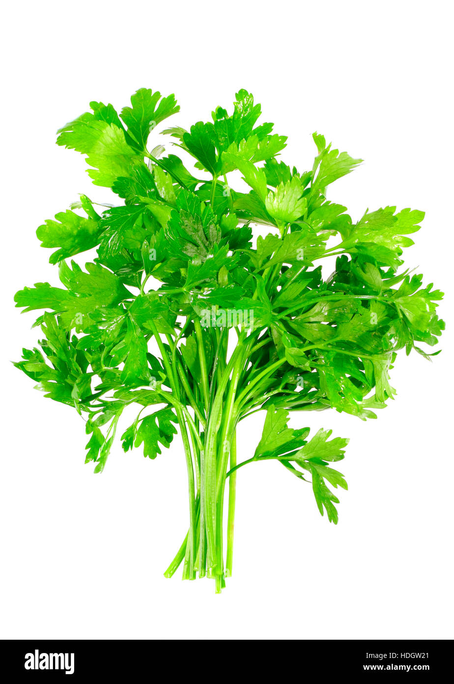 Fresh parsley on white background. Isolated over white Stock Photo - Alamy