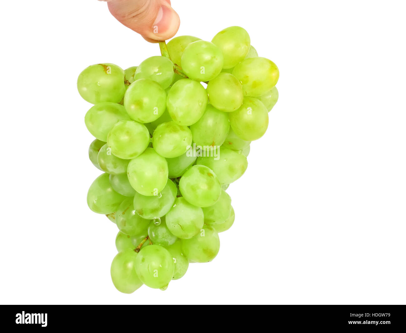Grapes in hand Cut Out Stock Images & Pictures - Alamy