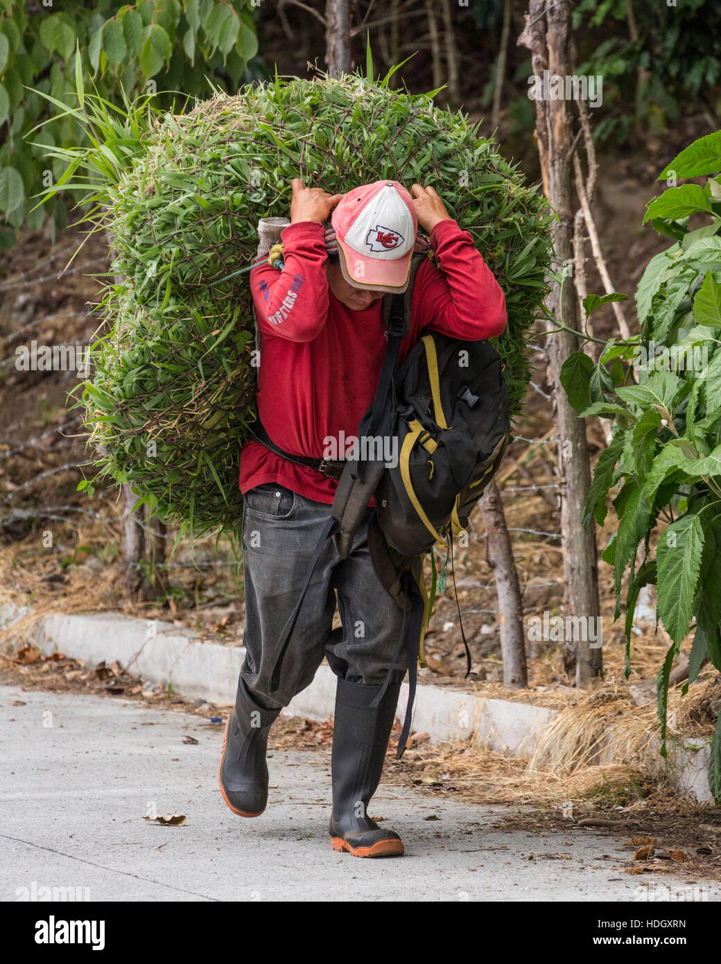 Man carrying heavy load on back hi-res stock photography and images - Alamy