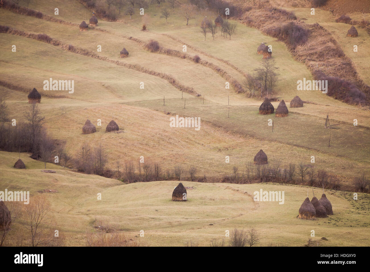 Traditional haystack on some hills in Romania Stock Photo - Alamy