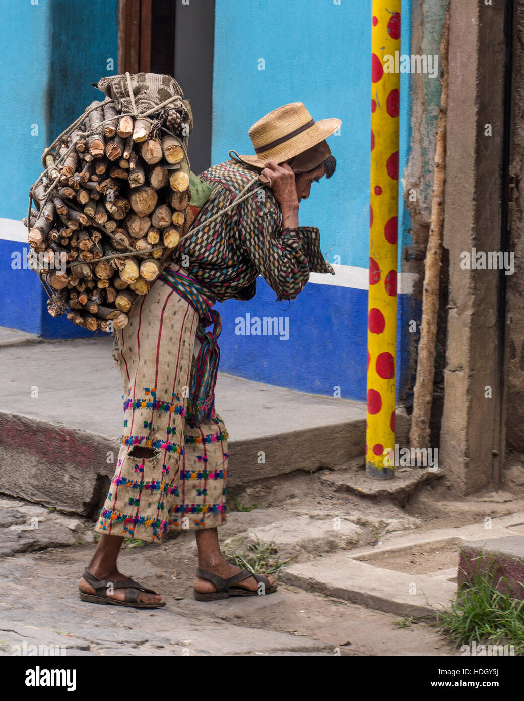 A poor Mayan man in ragged traditional clothes carries a heavy load of ...
