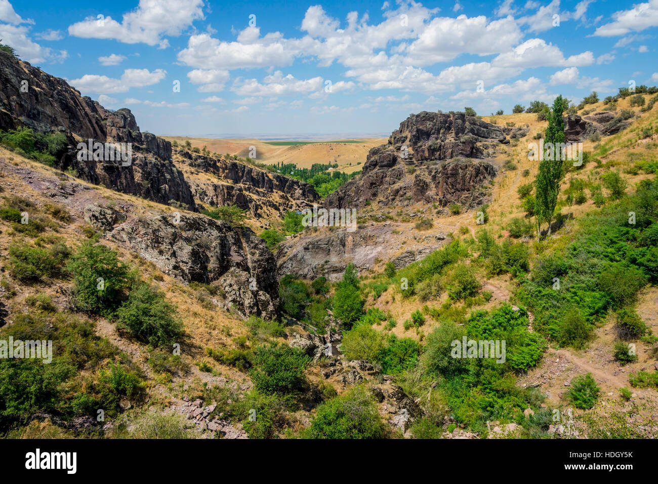 Stream Steppe High Resolution Stock Photography and Images - Alamy