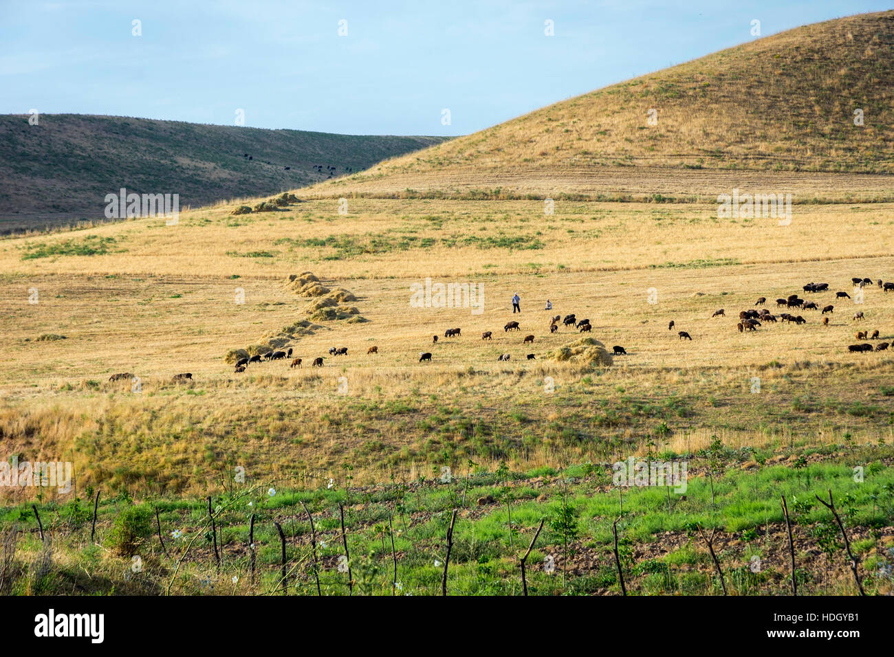 Endless steppe hi-res stock photography and images - Alamy