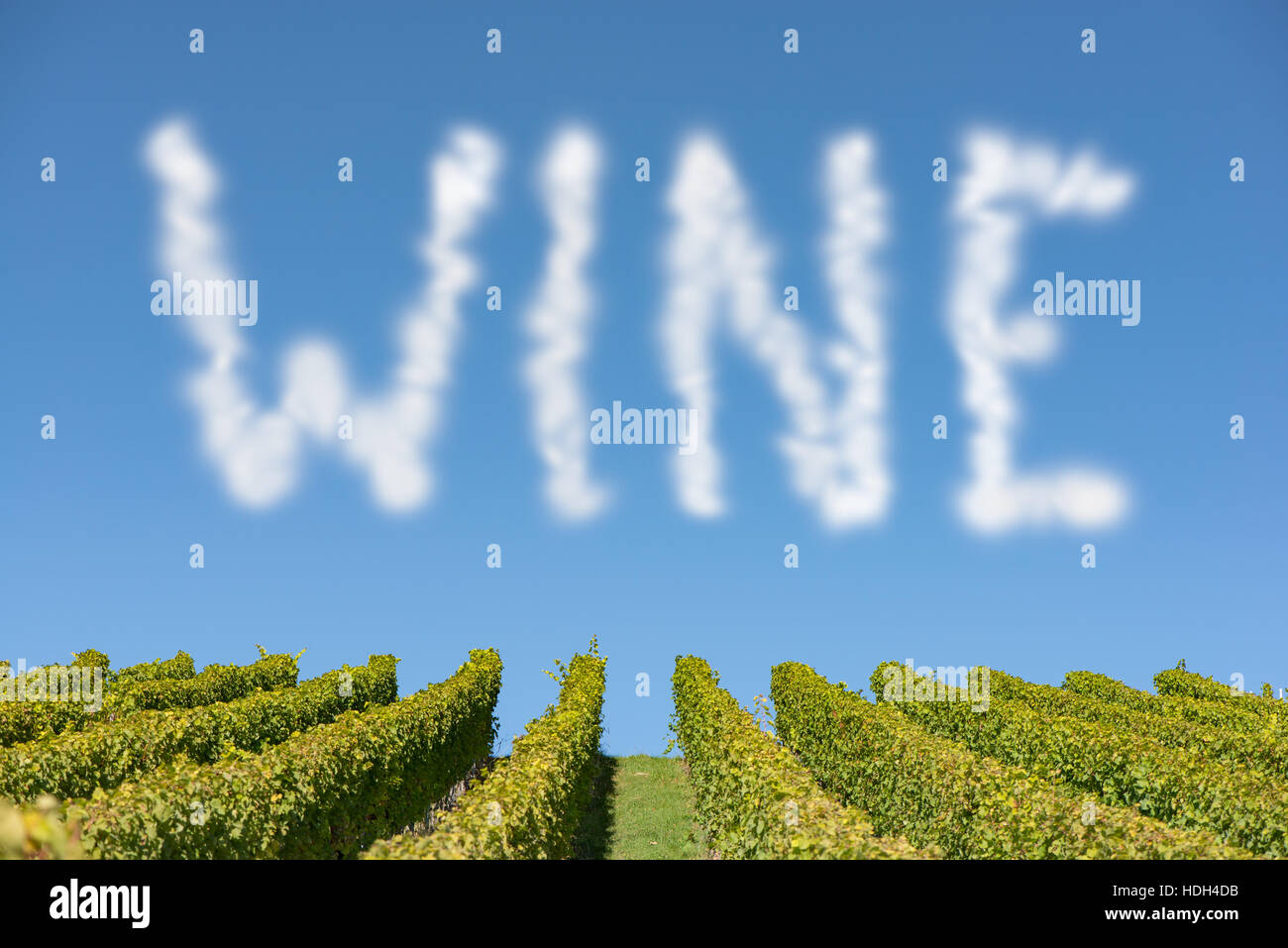 Vineyard letters hi-res stock photography and images - Alamy