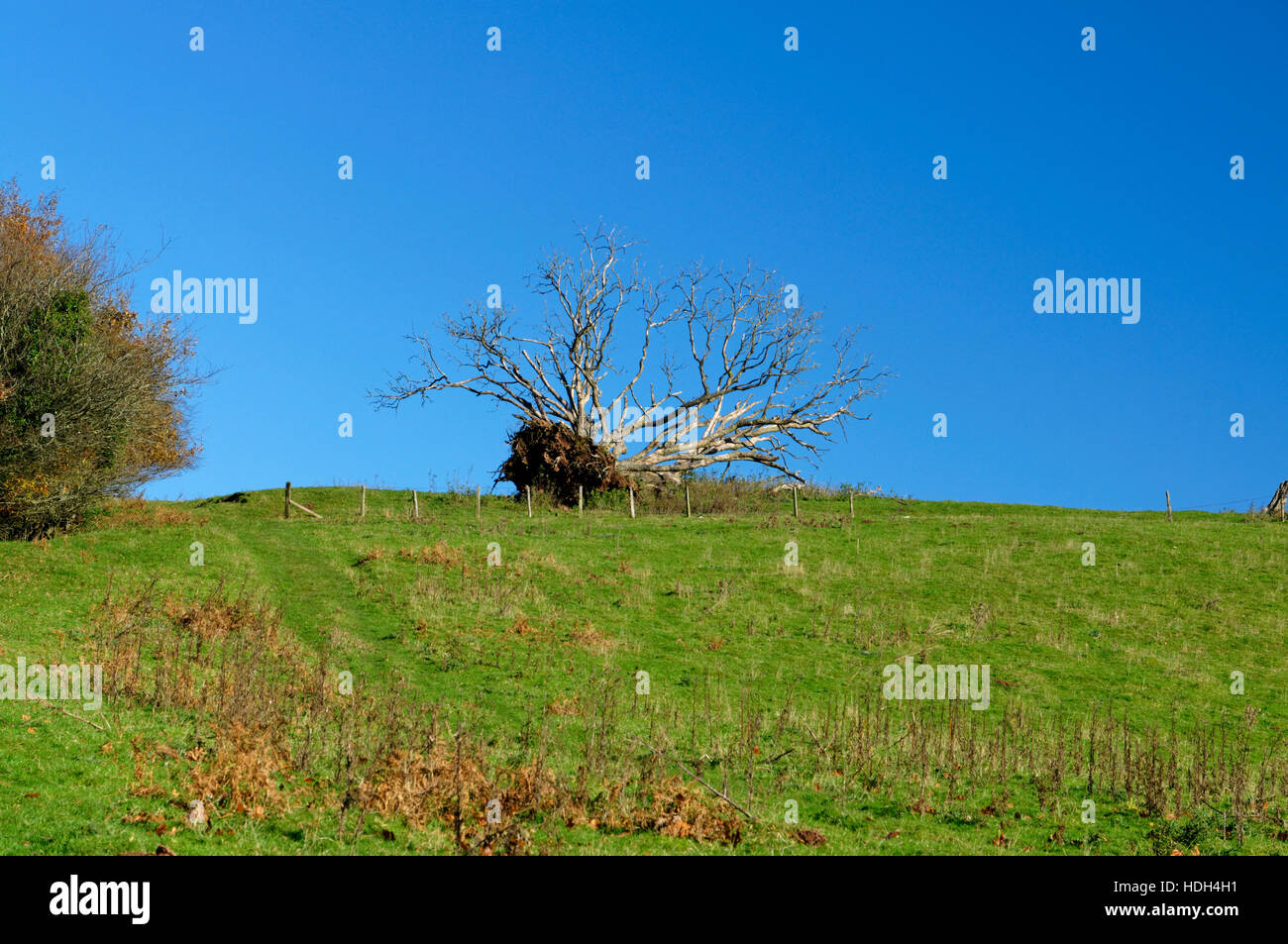 Dead wind hi-res stock photography and images - Alamy
