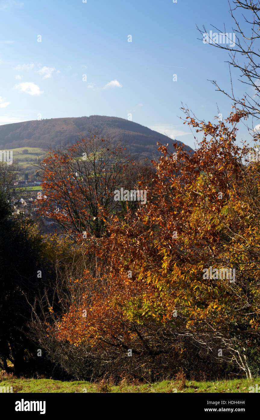 Torfaen wales hi-res stock photography and images - Alamy