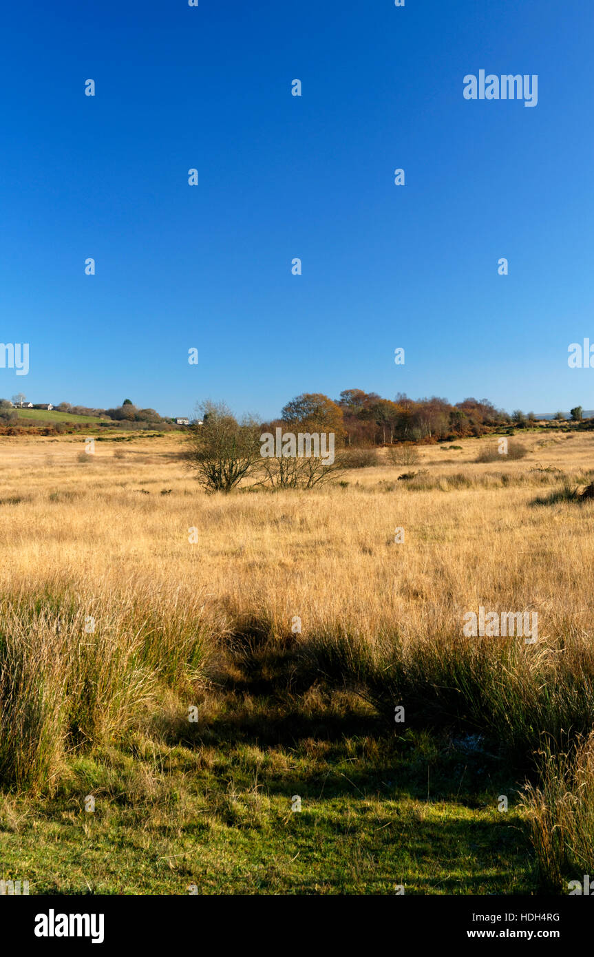 Llantrisant common hi-res stock photography and images - Alamy