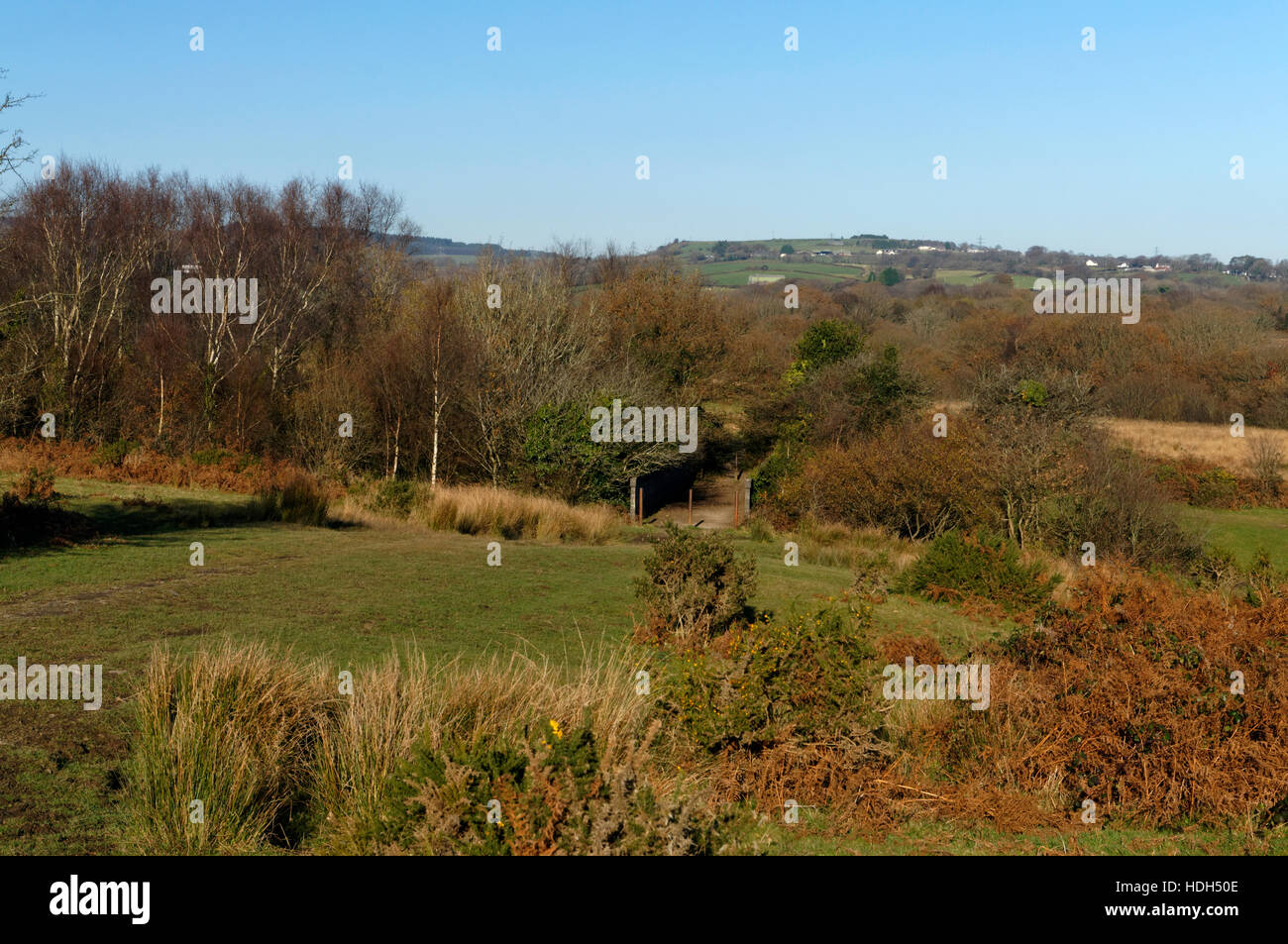 Llantrisant common hi-res stock photography and images - Alamy