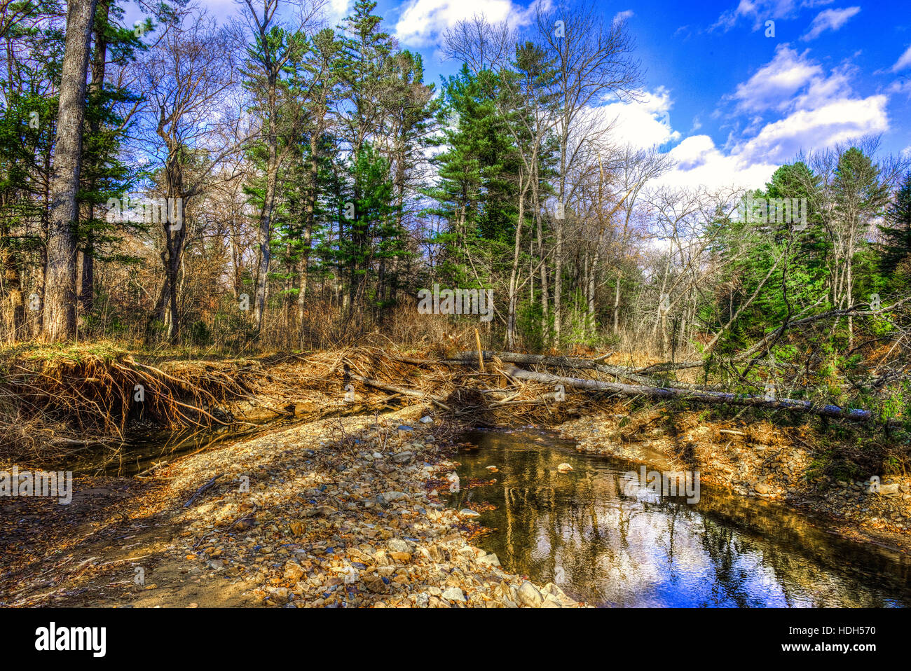 Creek in the forest hi-res stock photography and images - Alamy