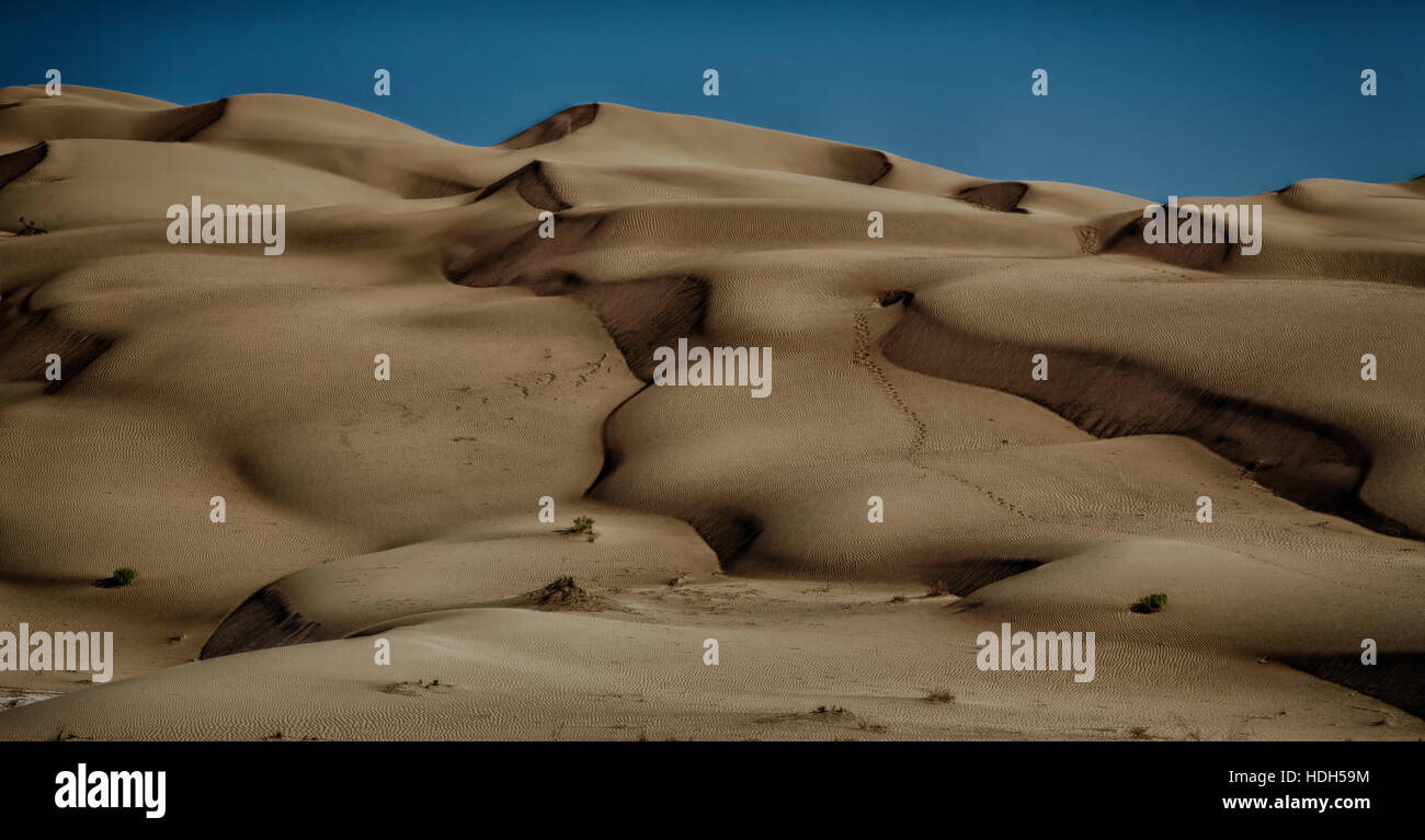 the empty quarter and outdoor sand dune in oman old desert rub al khali ...