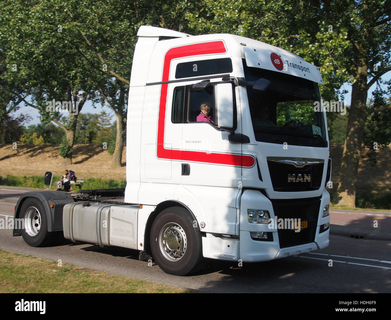 Large trucks are essential for transporting heavy goods and materials ...